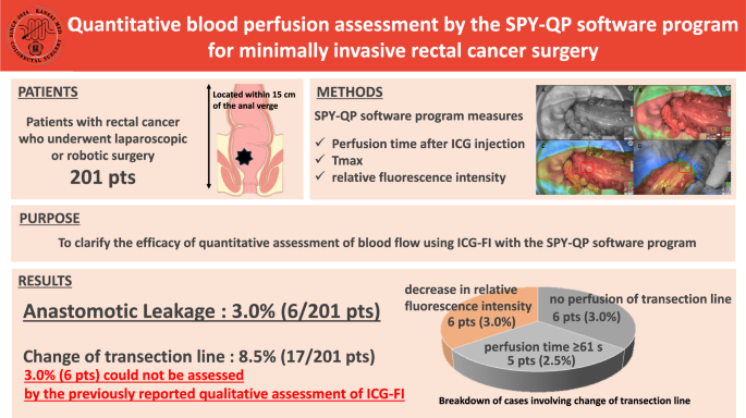 Quantitative blood perfusion assessment by the SPY-QP software program ...
