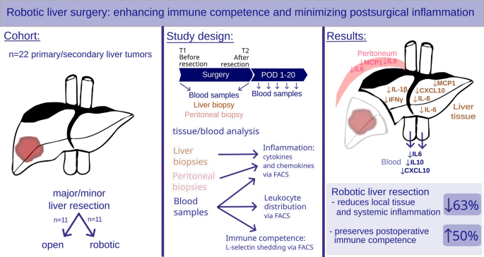 Robotic liver surgery: enhancing immune competence and minimizing ...