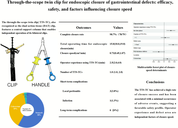 Through-the-scope twin clip for endoscopic closure of gastrointestinal ...