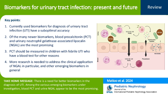 Biomarkers for urinary tract infection: present and future perspectives ...