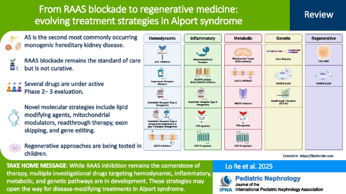 From RAAS blockade to regenerative medicine: evolving treatment ...