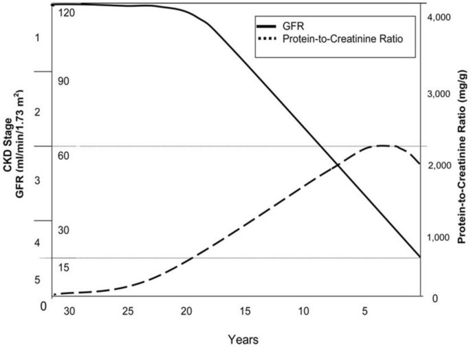 Early detection of proteinuria to prevent kidney fibrosis and ...