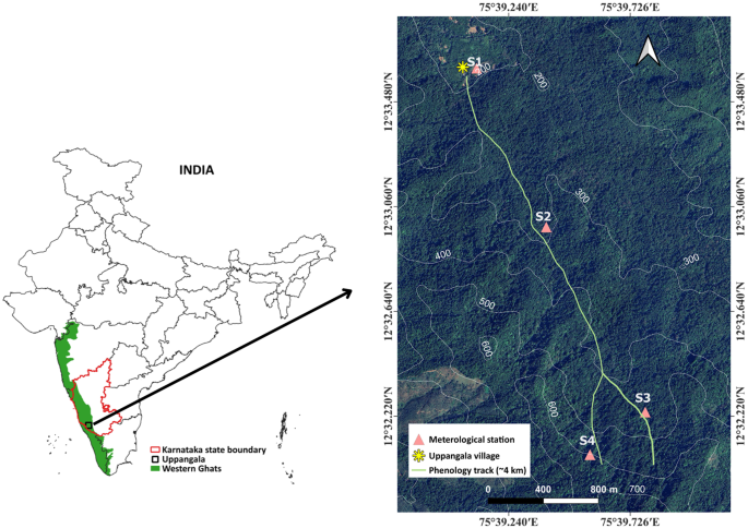 Phenological trends and associated climate drivers of a tree community ...