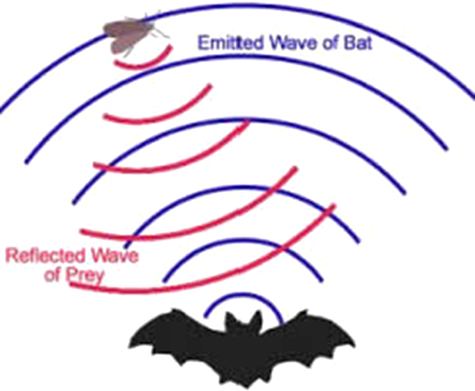 Modified Bat Algorithm: a newly proposed approach for solving complex and real-world problems ...