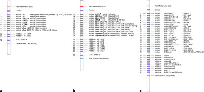 Performance of the automated DNA extraction with MagNA Pure 24 for ...
