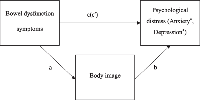 Body image as a mediator between bowel dysfunction symptoms and ...