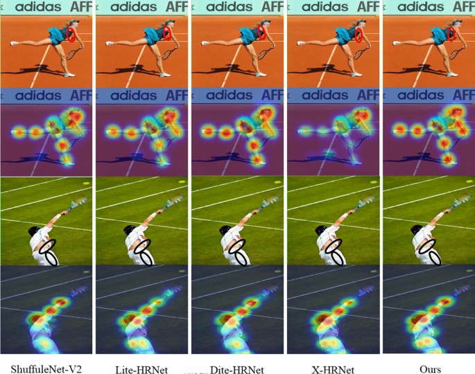 SD-HRNet: a lightweight high-resolution network for human pose ...
