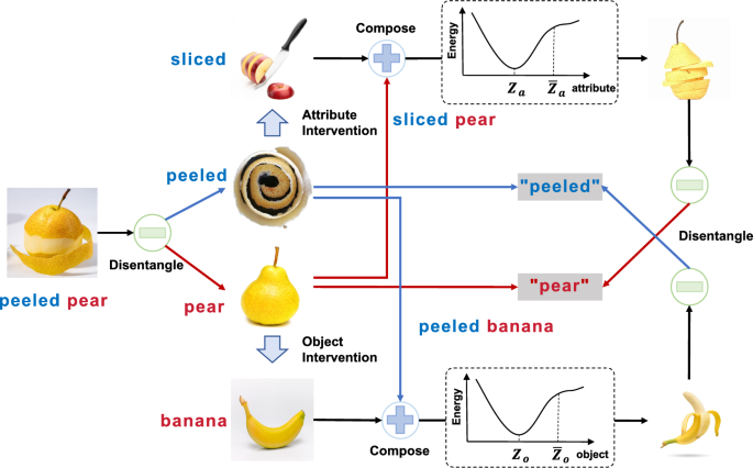 Energy-based causal disentanglement for compositional zero-shot ...