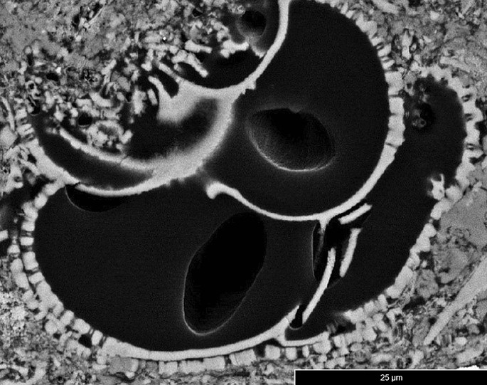 Microstructural BIB-SEM investigation of Upper Cretaceous Jordanian ...