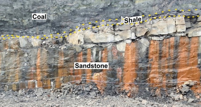 The influence of mineralogy and geomechanical properties on the ...