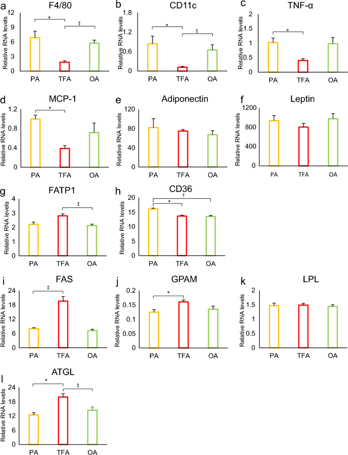 GPAM upregulation enhances hepatic fat deposition and reduces visceral ...