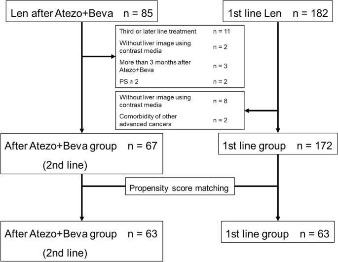 Comparative analysis of lenvatinib use after atezolizumab plus ...