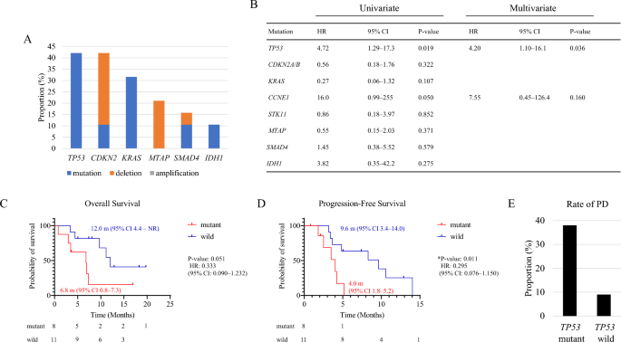 TP53 mutation predicts resistance to immune checkpoint inhibitor-based ...