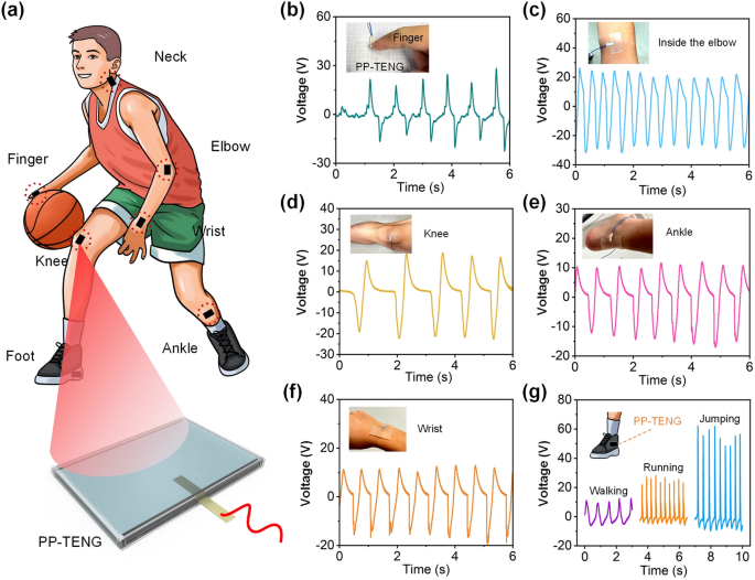 High-performance double-network hydrogel-based TENG for real-time basketball motion monitoring ...