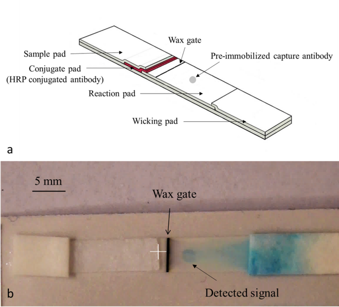 Triggerable fluidic gates in paper-based microfluidic devices using ...