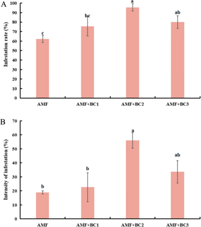 Mechanism allowing biochar to aid in arbuscular mycorrhizal ...