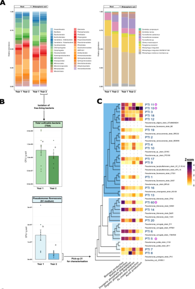 The volatile profiles of three strawberry varieties exhibit common and ...