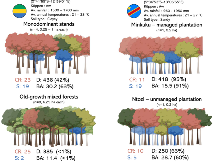 High diversity and variability of root-associated fungi in Aucoumea ...