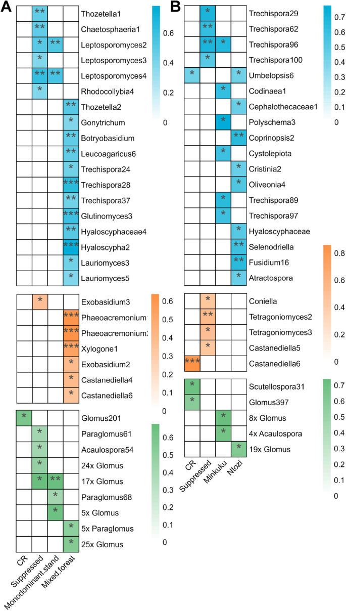 High diversity and variability of root-associated fungi in Aucoumea ...