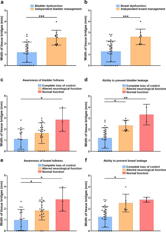 Tissue bridges offer valuable insights into bladder and bowel outcomes ...