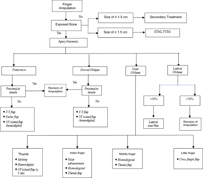 Fingertip injuries: Does administration of antibiotics give benefits? A ...