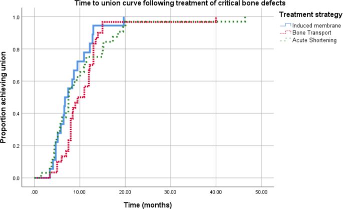 The management of critical bone defects: outcomes of a systematic ...
