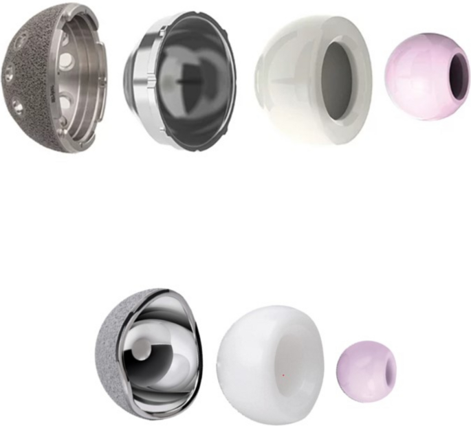 Modular versus monobloc dual mobility components for primary cementless ...