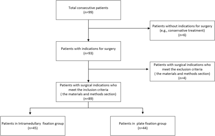 Two-center retrospective study comparing intramedullary and plate ...