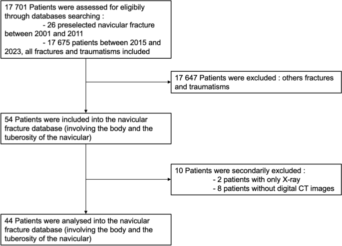 Navicular fracture mapping: a new perspective on fracture patterns and ...