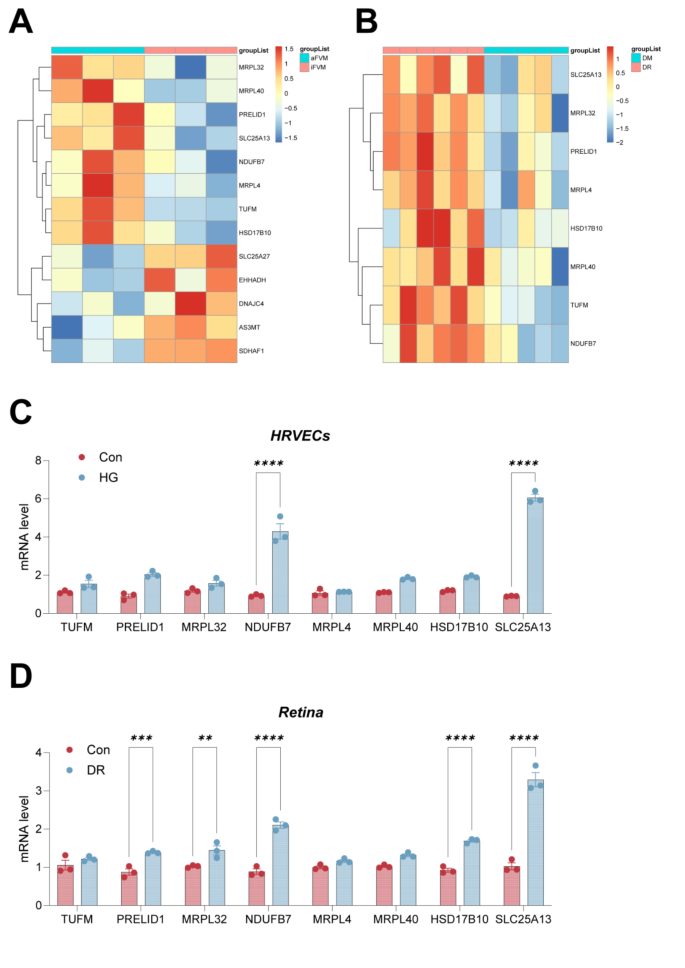 Mir-509-3p targets SLC25A13 to regulate ferroptosis and protect retinal ...