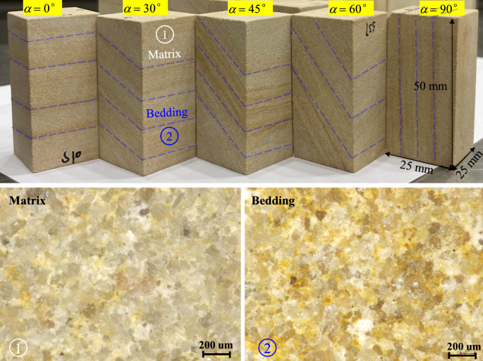 Effects of Stress Direction and Magnitude on Strength and Failure of ...