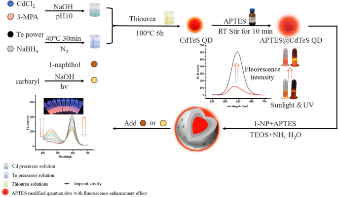 A molecularly imprinted ratiometric fluorescent sensor for visual ...