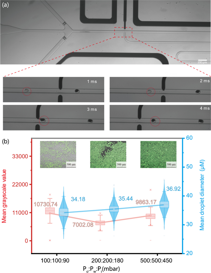 Droplet digital molecular beacon-LAMP assay via pico-injection for ...
