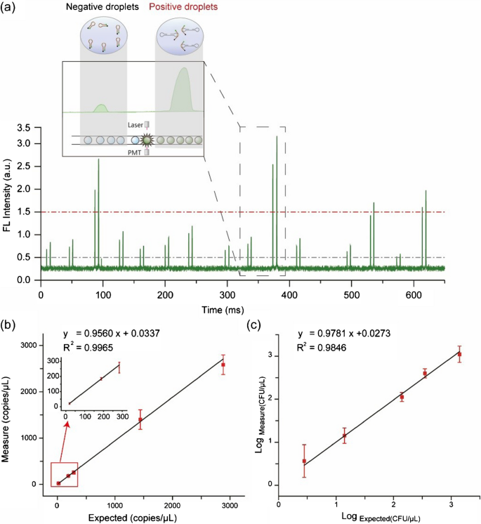 Droplet digital molecular beacon-LAMP assay via pico-injection for ...