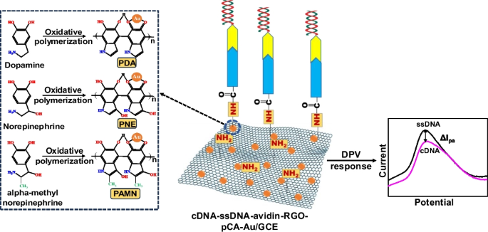 Comparative performance analysis of mussel-inspired polydopamine ...