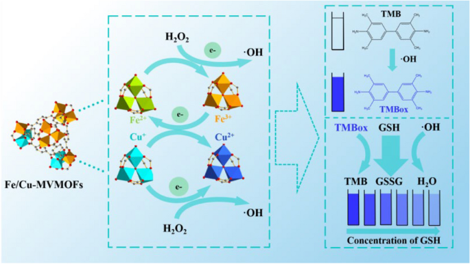 Fe/Cu MOFs of Fe2+-rich and Cu-doping via in situ reduction as nanozyme ...