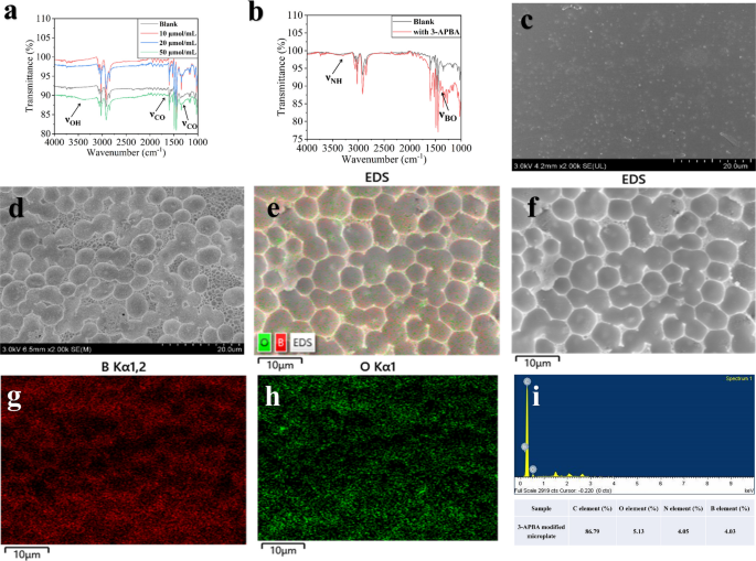 Boronic functionalized aptamer macroarrays with dual-recognition and isothermal amplification of ...