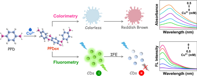 Fluorescent and colorimetric dual-mode detection of Cu2+ based on ...