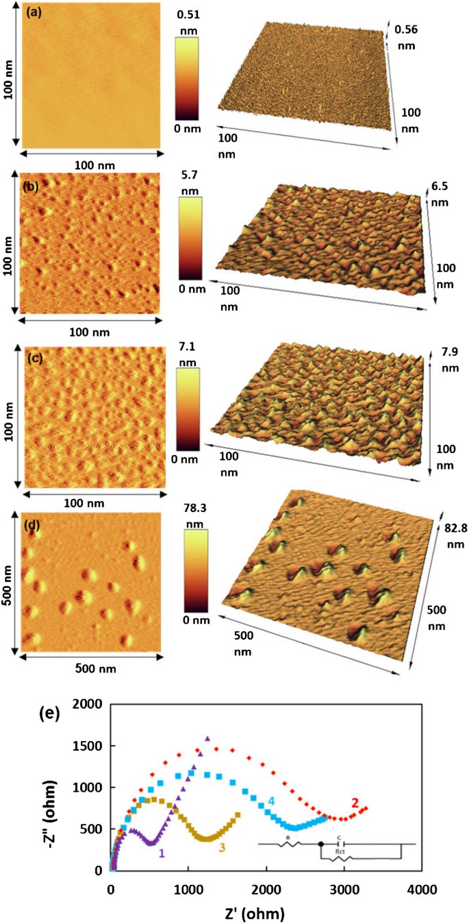 LAMP-CRISPR/Cas12a-based impedimetric biosensor powered by Fe3O4@Au-(S ...
