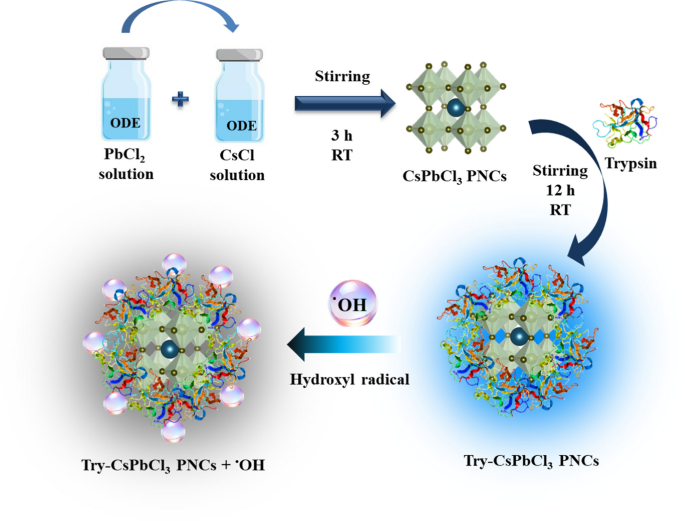 Synthesis of trypsin-protected CsPbCl3 fluorescent nanocrystals for ...