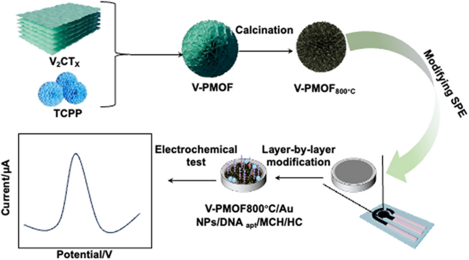 An electrochemical aptasensor for hydrocortisone detection using V-PMOF ...