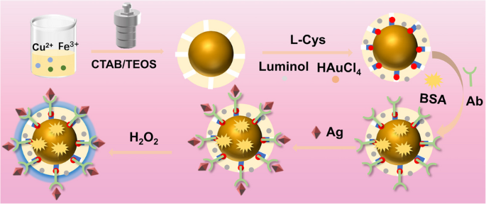 Label-free immunoassay based on chemiluminescence-functionalized ...