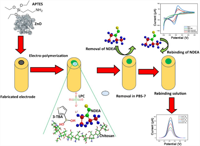 Advancing green chemistry for the sensitive and selective detection of N-nitrosodiethylamine ...