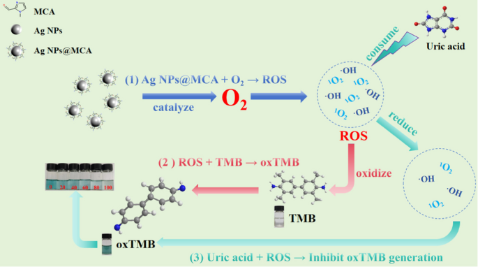 A simple and rapid colorimetric sensor for uric acid detection based on ligand-modified silver ...