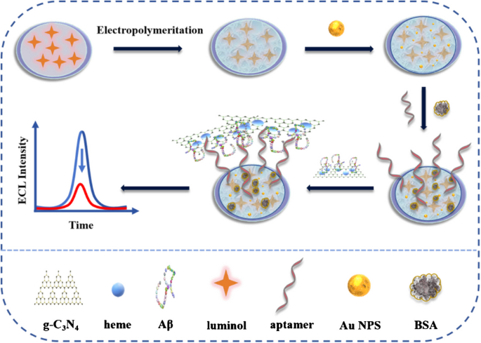 A ratio electrochemiluminescence sensor for monitoring amyloid-beta ...
