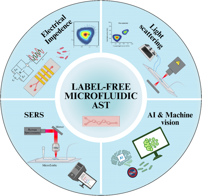 Label-free phenotypic antimicrobial susceptibility testing on ...