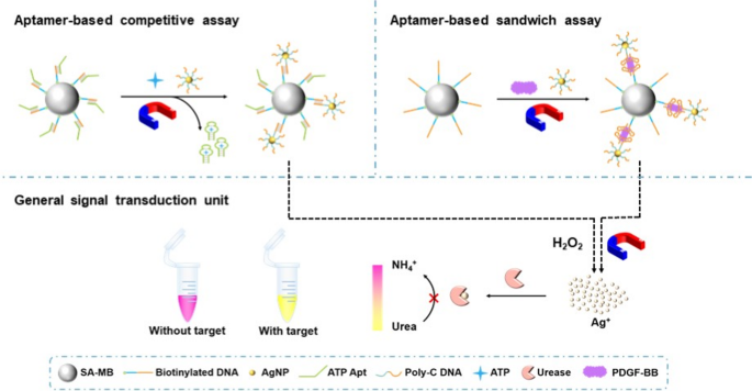 Aptamer-based colorimetric detection of ATP and PDGF-BB by silver ...