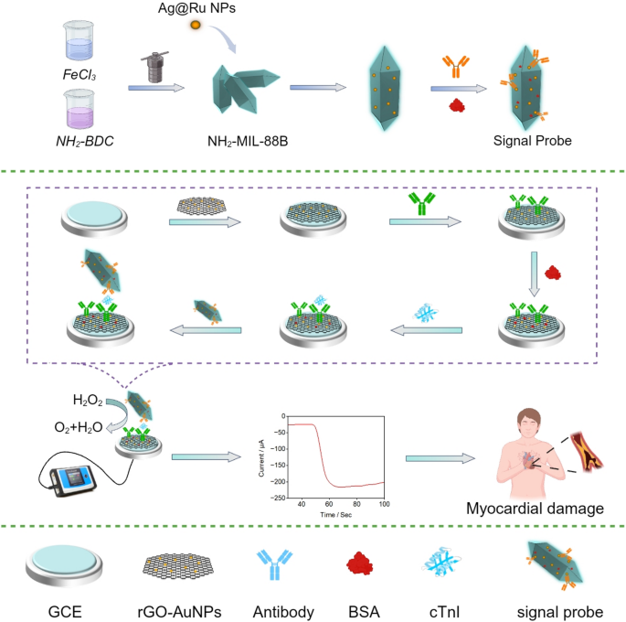 An electrochemical immunosensor based on NH2-MIL-88B/Ag@Ru composites ...