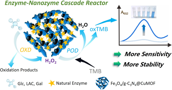 A versatile Fe3O4/g-C3N4@Cu-MOF magnetic platform with enhanced ...