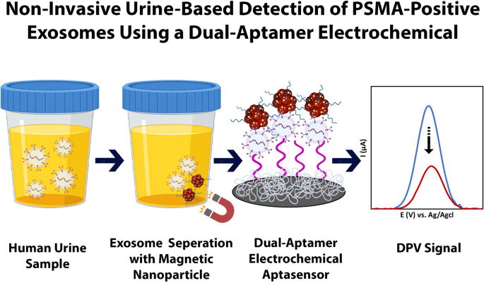 Non-invasive urine-based detection of PSMA-positive exosomes using a ...